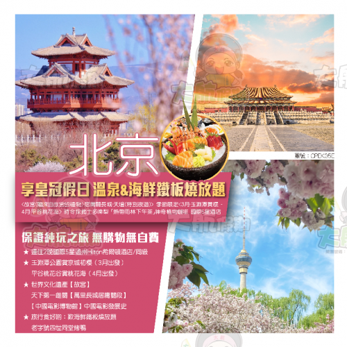 大航假期 Big Line Holiday Ltd - 旅行團